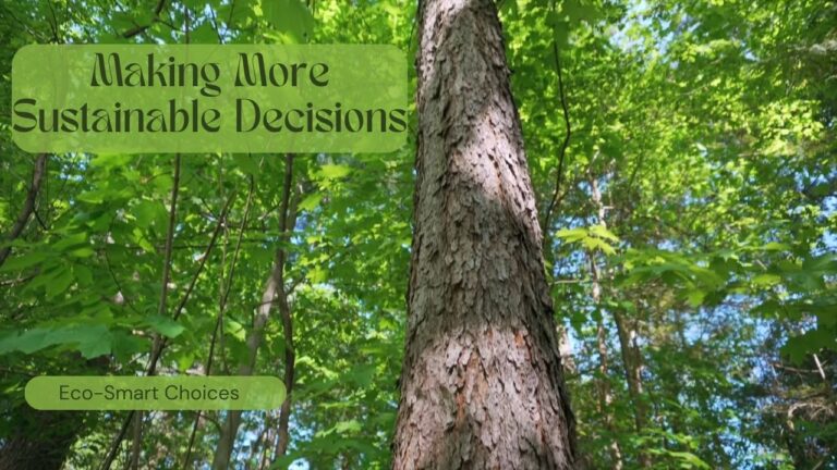 6 Tips For Making More Sustainable Decisions: Eco-Smart Choices - Hero ...